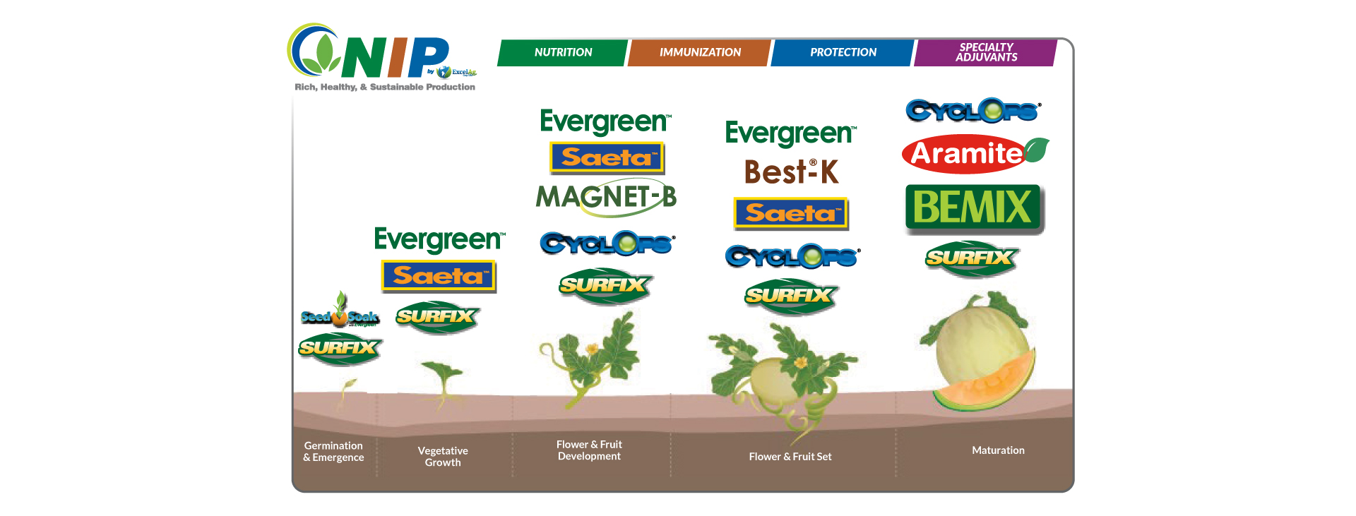 Evergreen - ExcelAg
