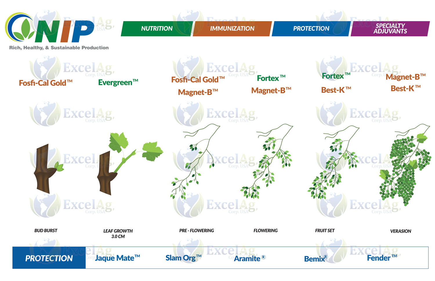 Grapes Vegetables NIP Crop Program by ExcelAg