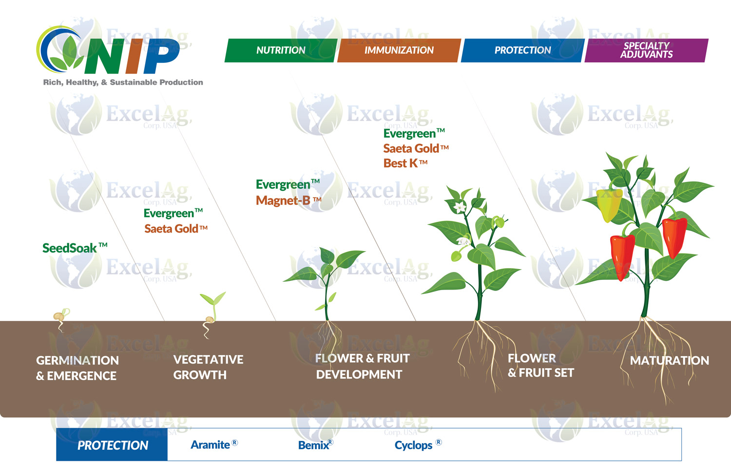 Pepper NIP Crop Program by ExcelAg