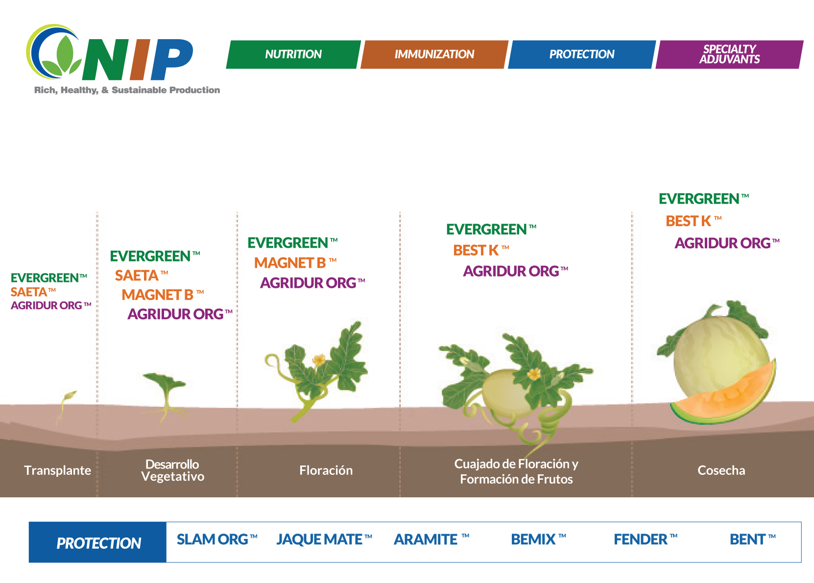 Melon - Watermelon NIP Crop Program by ExcelAg
