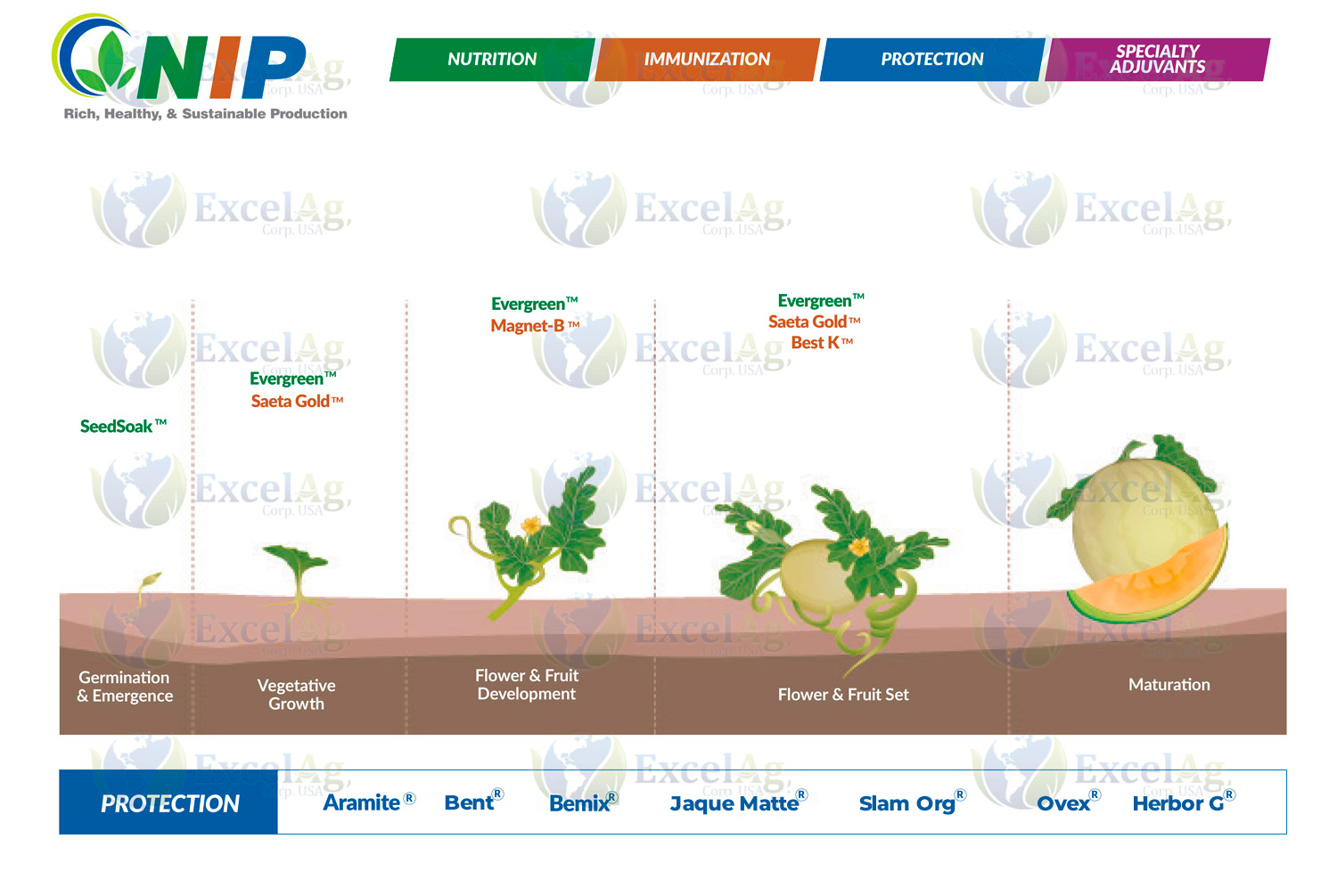 Cucurbits NIP Crop Program by ExcelAg